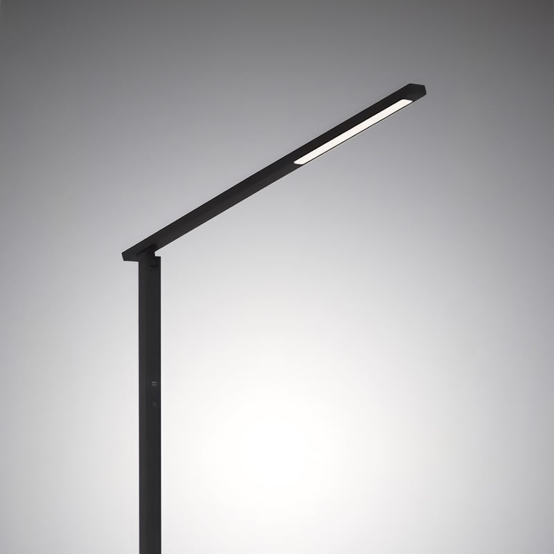 FABAS LUCE Ideal floor lamp, LED black - 3550-11-101 | REUTER