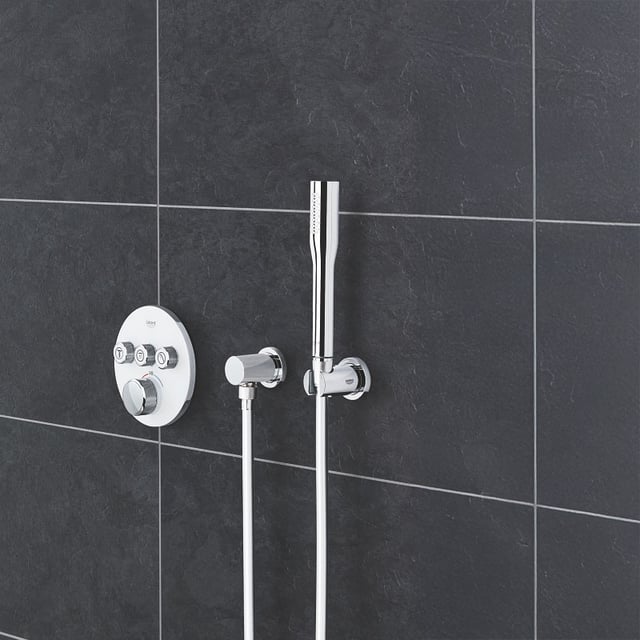 Grohe Euphoria Cosmo hand shower, 1 spray mode with EcoJoy, chrome ...