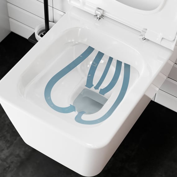 hansgrohe EluPura Q wall-mounted toilet with AquaFall Flush with toilet ...
