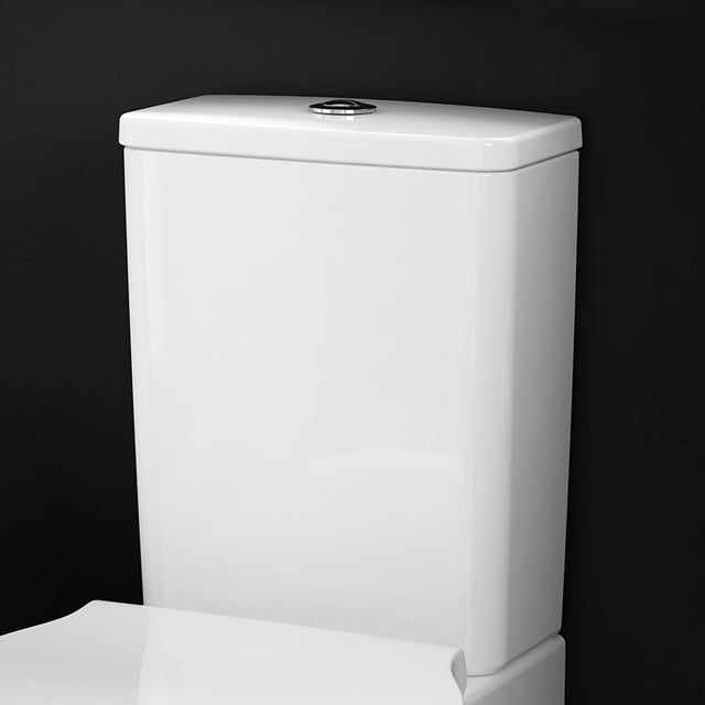 Ideal Standard Connect Air cistern white - E073401 | REUTER