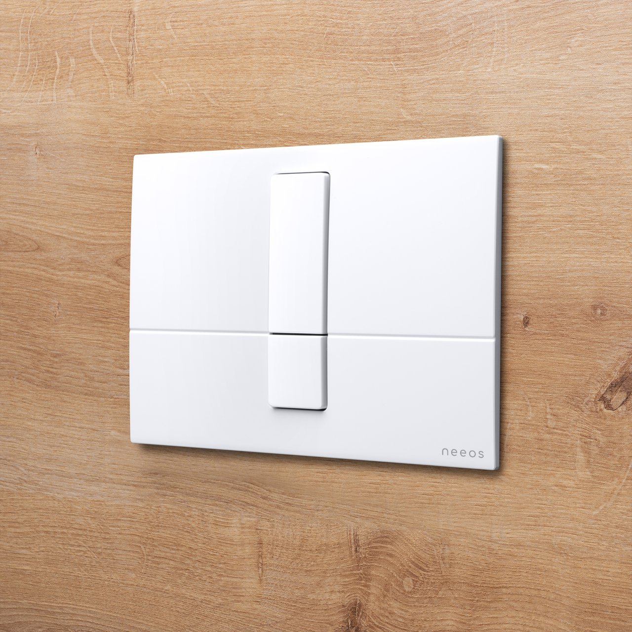 Flush Plates for Toilets