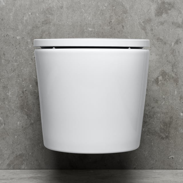 neoro n50 wall-mounted toilet with SilentPowerFlush with toilet seat ...