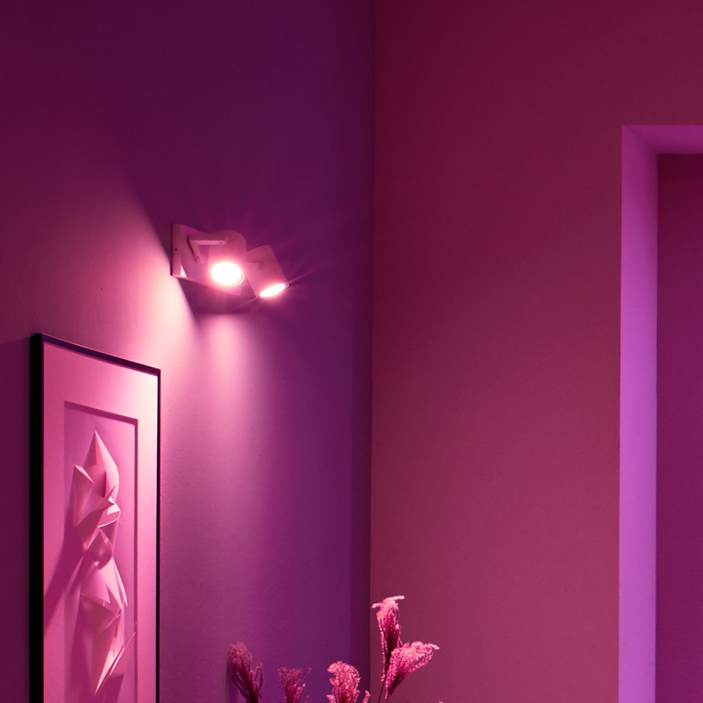 Philips Hue White & Color Ambiance Argenta Strahler, GU10, 2-flammig ...