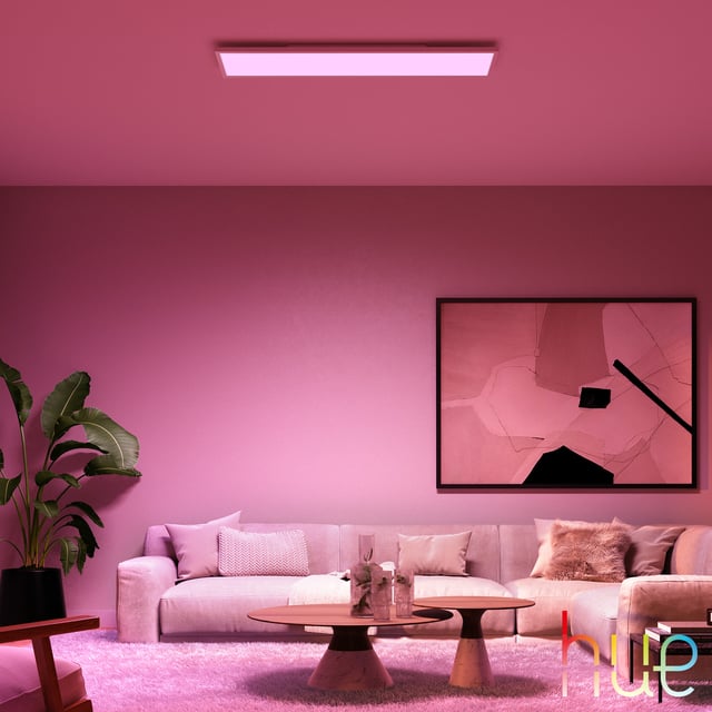 PHILIPS Hue White & Color Ambiance Surimu ceiling light, LED ...