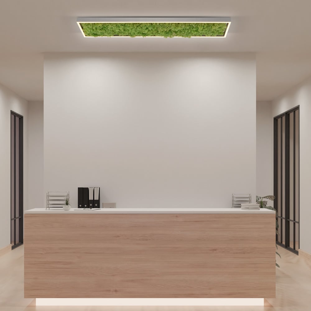 Just Light Green Knut ceiling light LED dimmable, moss - 15623-66 | REUTER