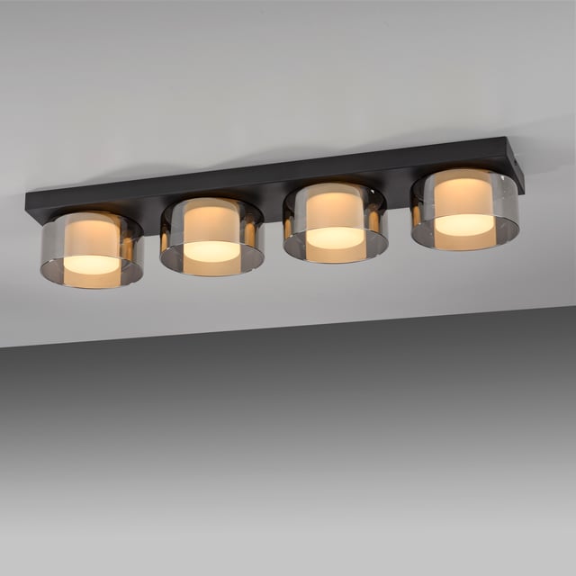 Paul Neuhaus Rika ceiling light, LED dimmable, black/smoke - 6164-18 ...