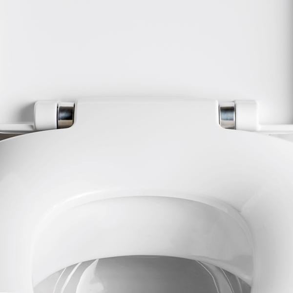 Pressalit Delight ® toilet seat with soft-close, white - 492000-D09999 ...